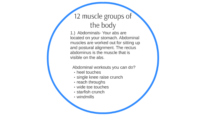 12 muscle groups of the body by jay gonzalez on Prezi