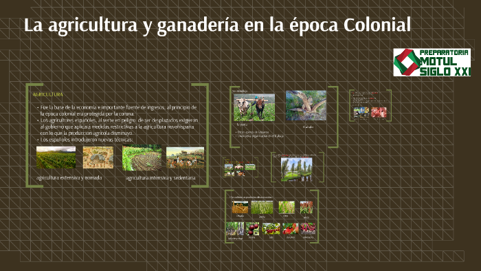 La agricultura, ganadería y el comercio en la época Colonial by ...