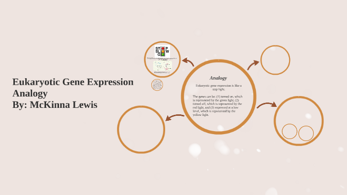 Eukaryotic Gene Regulation Analogy by McKinna Lewis on Prezi