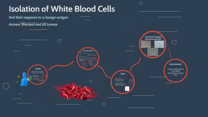 Isolation of White Blood Cells by Jillian Lanese on Prezi