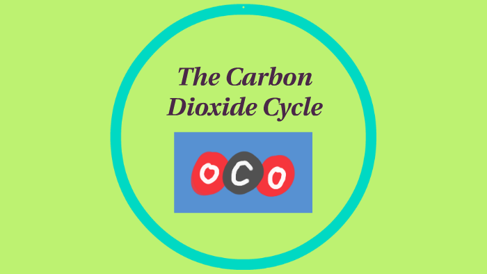 Carbon Dioxide Presentation by Kevin Le on Prezi