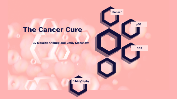 p53 & DDR by Emily Menshew on Prezi