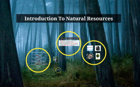 Introduction To Natural Resources by Bree Hartman on Prezi