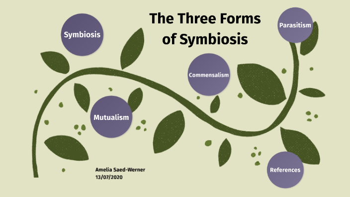The Three Forms of Symbiosis by Amelia SW