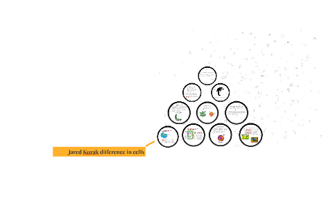 Jared Kozak difference in cells by jared kozak