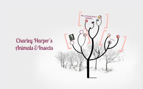 Charley Harper's Animals and Insects by Lacey Hamrick on Prezi