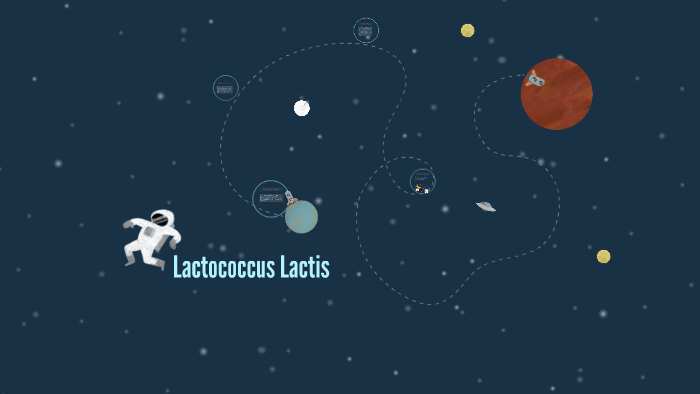 Lactococcus Lactis by Kandace Thomas on Prezi