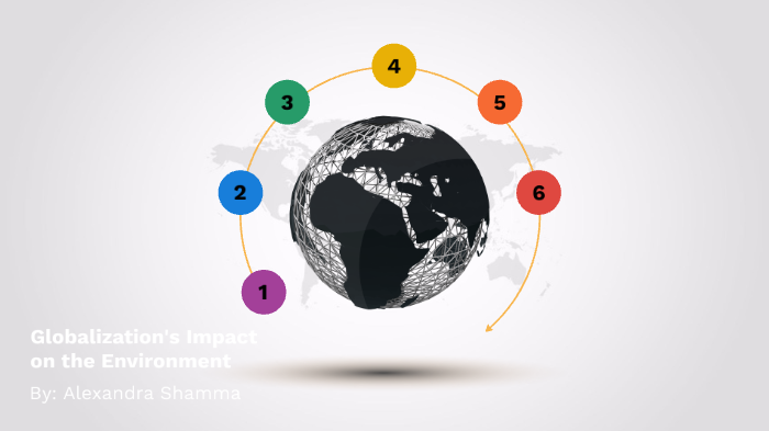 Globalization's Impact on the Environment by alex shamma on Prezi