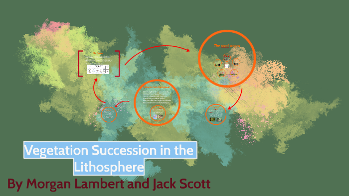 Vegetation Succession in the Lithosphere by Morgan Lambert on Prezi