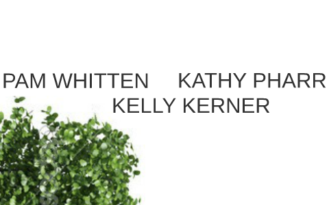 Delta Hall by Evan Tighe on Prezi