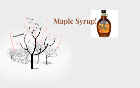 Maple Syrup by Kayla Cruse on Prezi