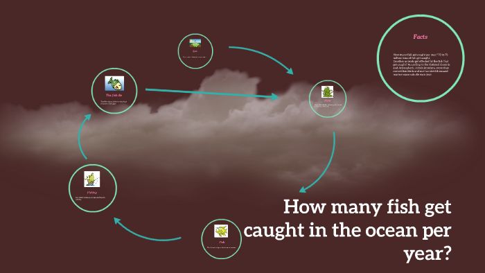 How many fish get caught in the ocean per year? by jack orlandi on Prezi