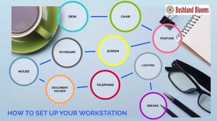 HOW TO SET UP YOUR WORKSTATION by N P on Prezi