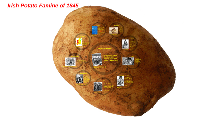 Irish Potato Famine of 1845 by Israel Santibanez on Prezi