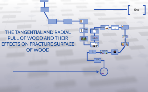 THE TANGENTIAL AND RADIAL PULL OF WOOD AND THEIR EFFECTS ON by Seray ...