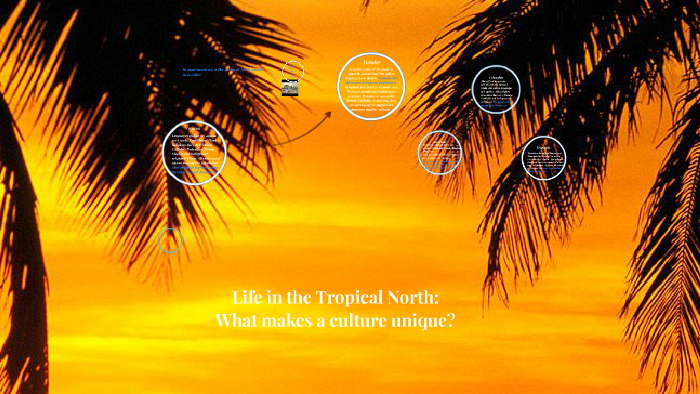 Life in the Tropical North: by Rose Patterson on Prezi