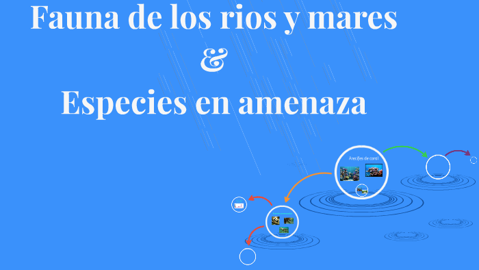 Fauna de los rios y mares by Yazmin Marrero on Prezi