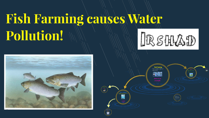 Fish Farming causes Water Pollution by Irshad Alli on Prezi
