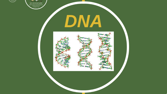 DNA by Matt Swajkowski on Prezi
