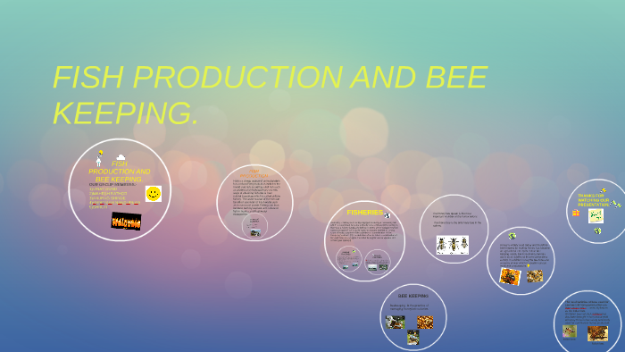 FISH PRODUCTION AND BEE KEEPING by anurag shinde on Prezi
