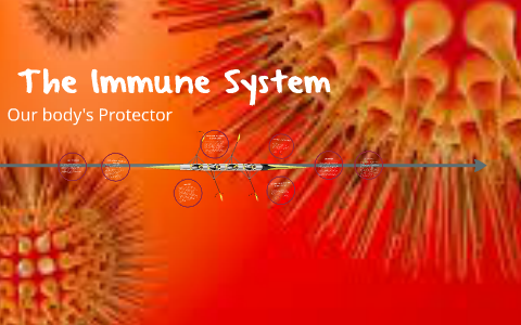 The Immune System by Sunset Dolphin on Prezi