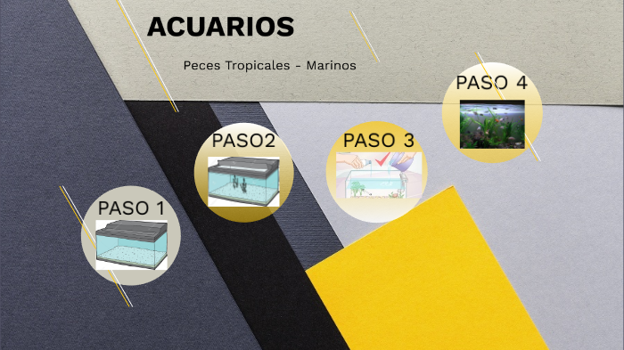 Acuario by Diego Estrada on Prezi