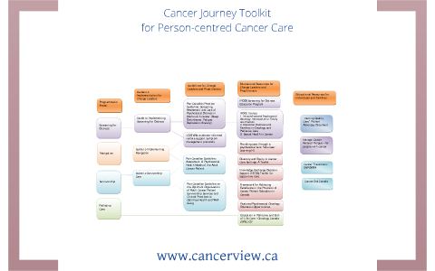 Cancer Journey Toolkit for Person-centred Cancer Care by Laura Cleghorn ...