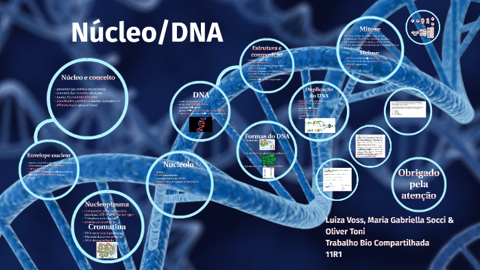 Nucleo e DNA by Luiza Voss on Prezi