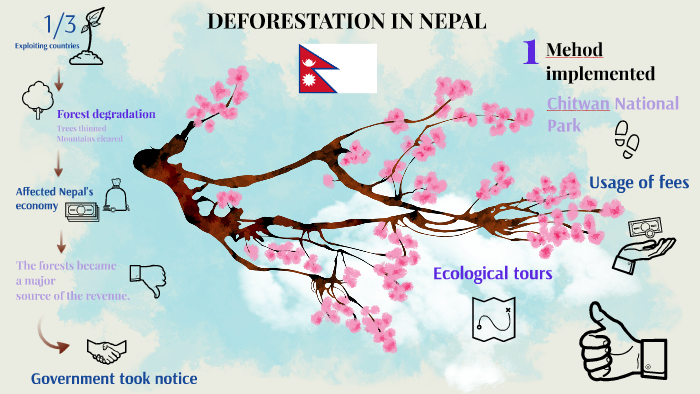 DEFORESTATION IN NEPAL by Gaby Bernal on Prezi