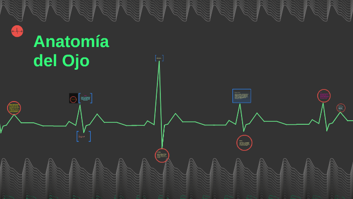 Anatomía del Ojo by JOSE HEREDIA on Prezi