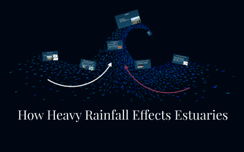How Heavy Rainfall Effects Estuaries by on Prezi