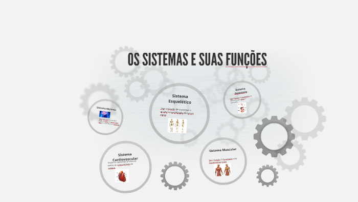 OS SISTEMAS E SUAS FUNÇÕES by Ana Maraccisantos on Prezi