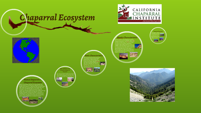 Chaparral Ecosystem by Matthew McDonald on Prezi