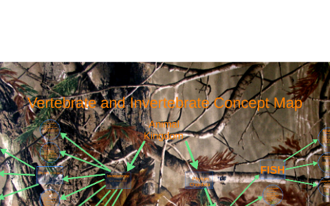 Vertebrate and Invertebrate Concept Map by Austin Bell on Prezi