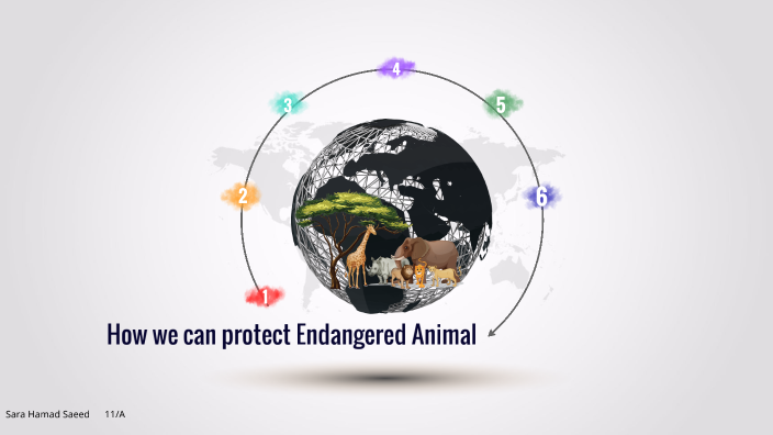 How we can protect endangered animal by Sara H on Prezi