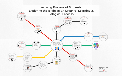 Learning Process of Students: by Nicole Gonzalez on Prezi