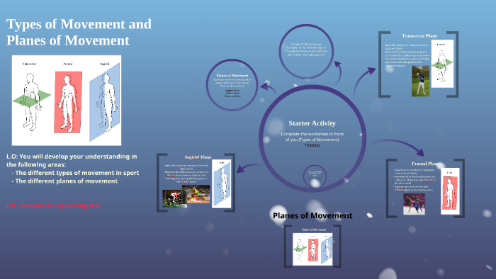 BTEC3 Lesson 28 Types of Movement and Planes of Movement by Piotr ...