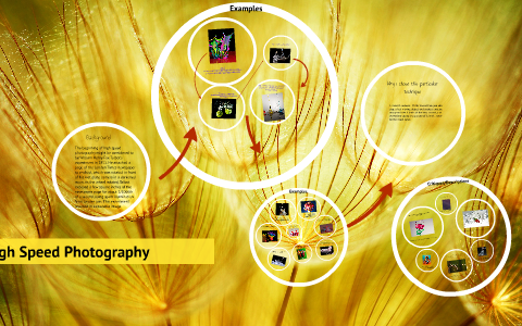 High Speed Photography by simona ulrich