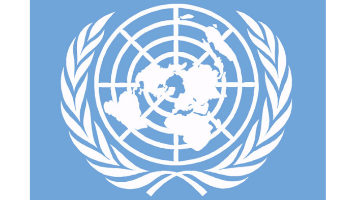 MUN Final Exam, Writing a Position Paper by Abed Raslan on Prezi