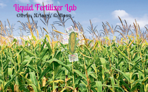 Liquid Fertilizer Lab by Kristina DeNuccio on Prezi