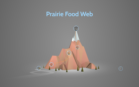Prairie Food Web by Donald Vance on Prezi