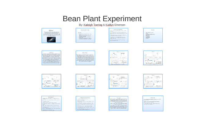 Bean Plant Experiments by Kaleigh&Kaityln ToeringEmerson on Prezi
