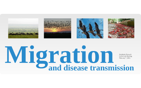 How does migration affect disease transmission? by Stephanie Peacock on ...