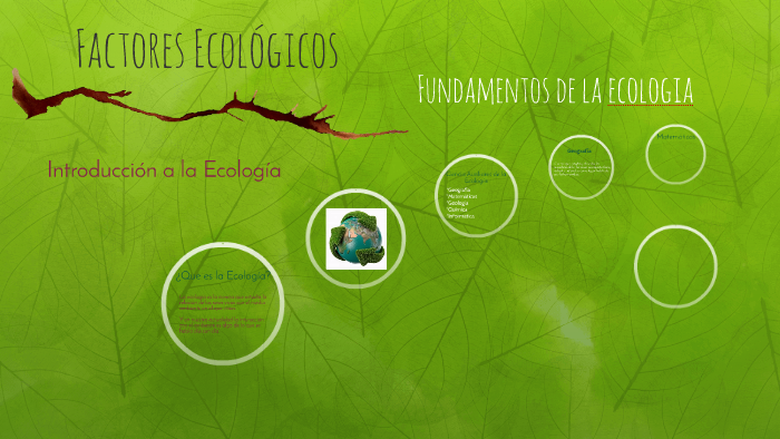 Factores Ecológicos by Stephany Garcia on Prezi