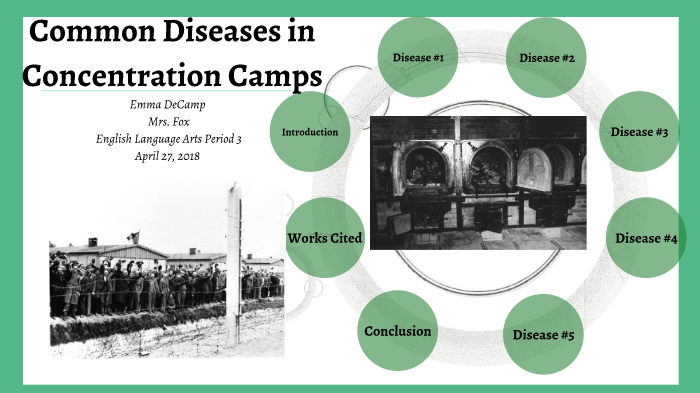 Common Diseases In Concentration Camp By Emma Decamp On Prezi