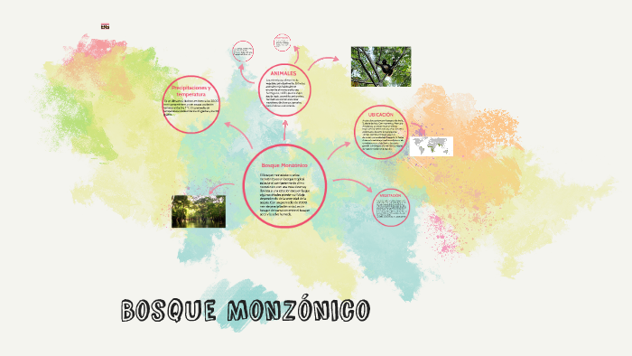 Bosque monzónico by paula valentina guglielmetti on Prezi