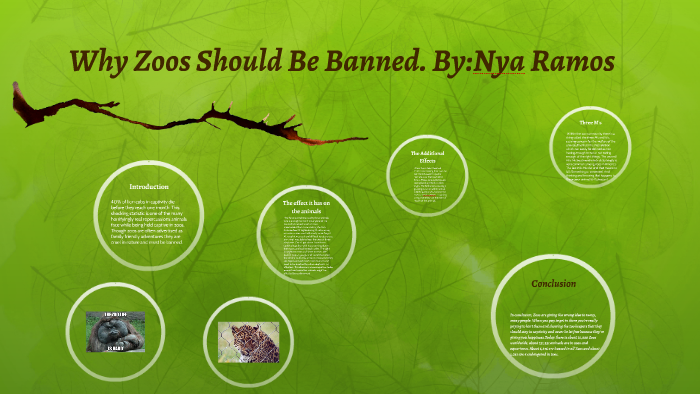 Why Zoos Should Be Banned by nya Ramos on Prezi