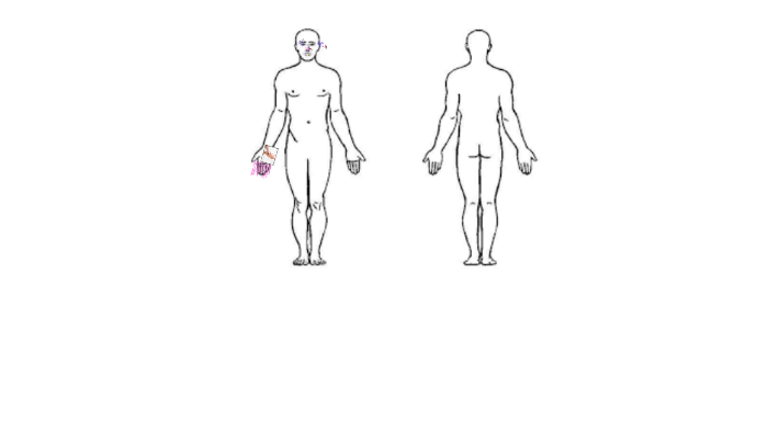 Lina Marcela Ruano Adrada by Lina Marcela Ruano Adrada on Prezi