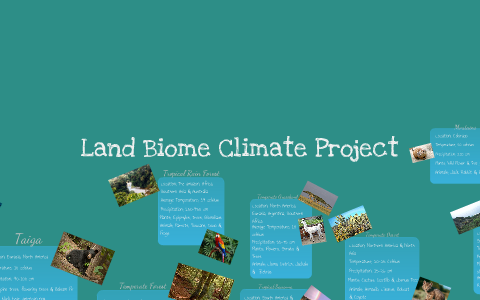 Land Biome Climate Project by natasha miller on Prezi