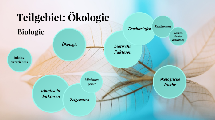 Ökologie by Mia Herrmann on Prezi